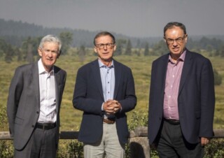 Alle artikel