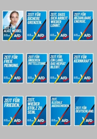 Die AfD und die Zeit
